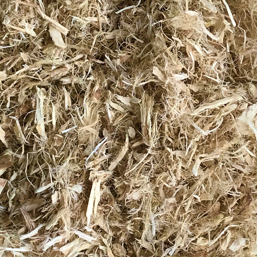 Organic Marshmallow Root – BARE ROOT Skin Essentials