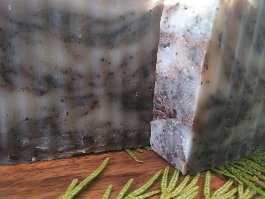Mocha Latte Cold Process Soap – BARE ROOT Skin Essentials